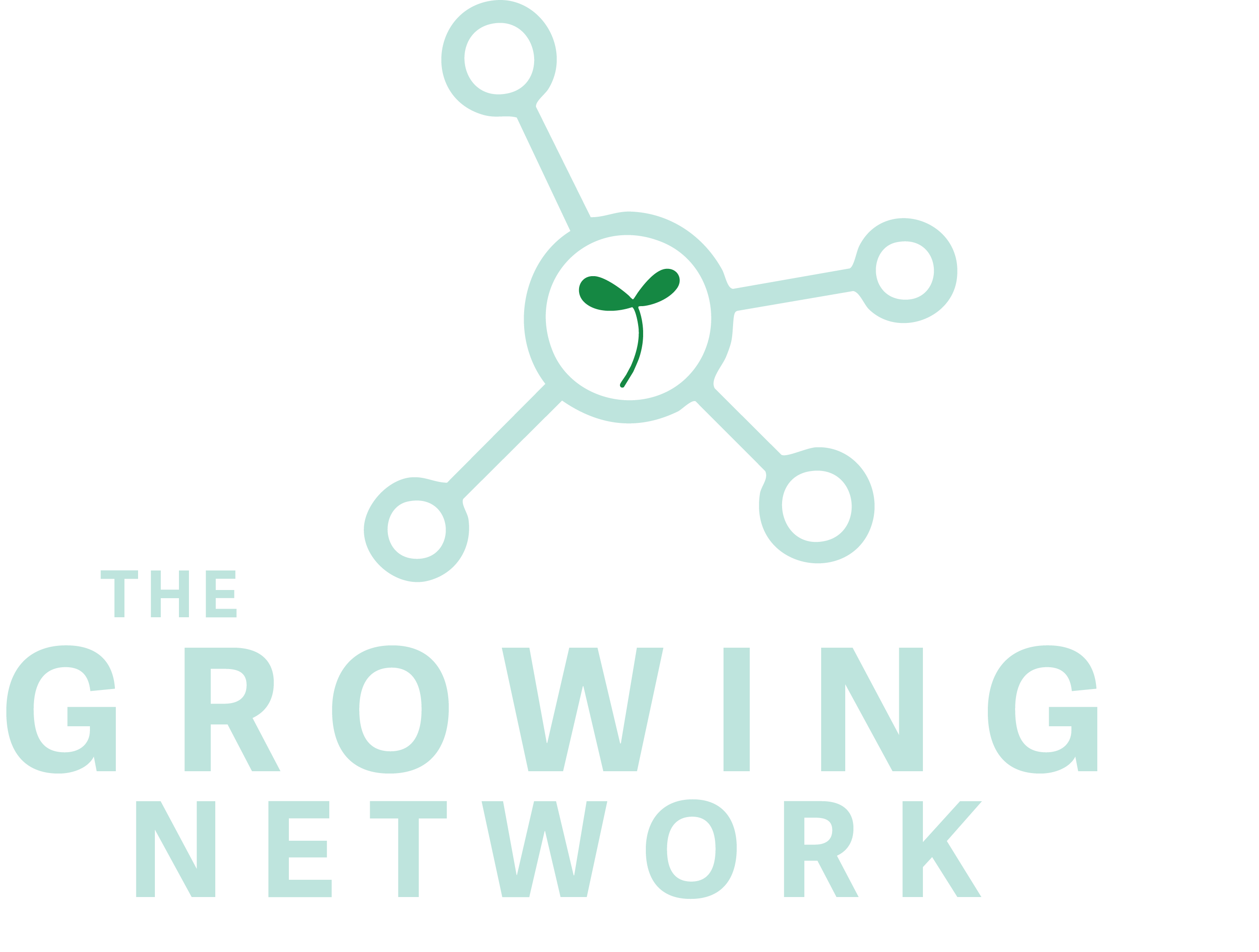 the Growing Network
